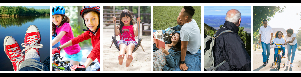 Greenwood County Library: SC State Park Pass